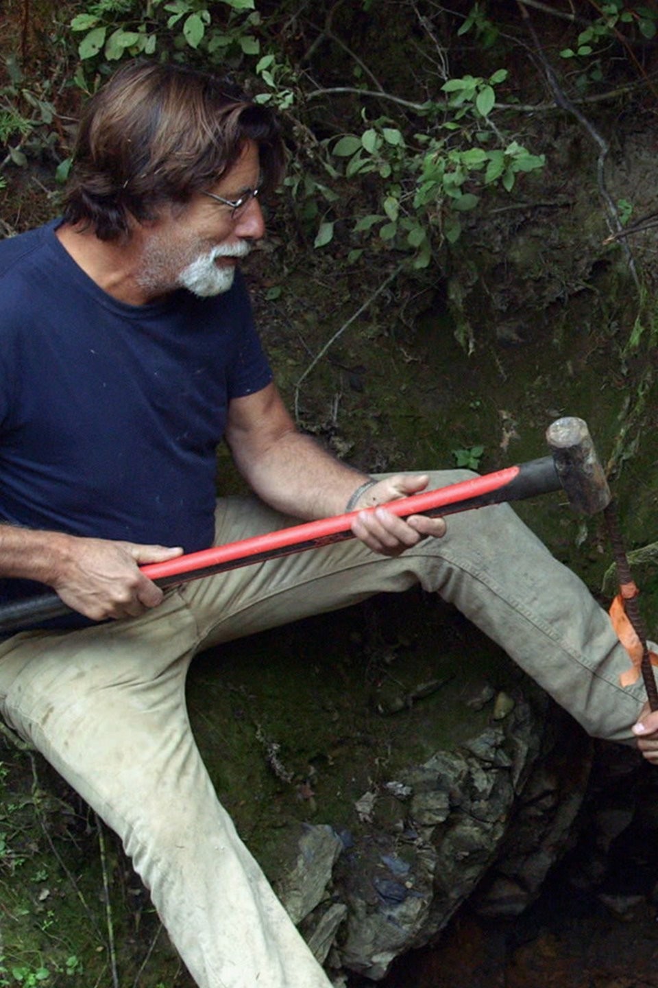 Bullseye Pictures | Rotten Tomatoes