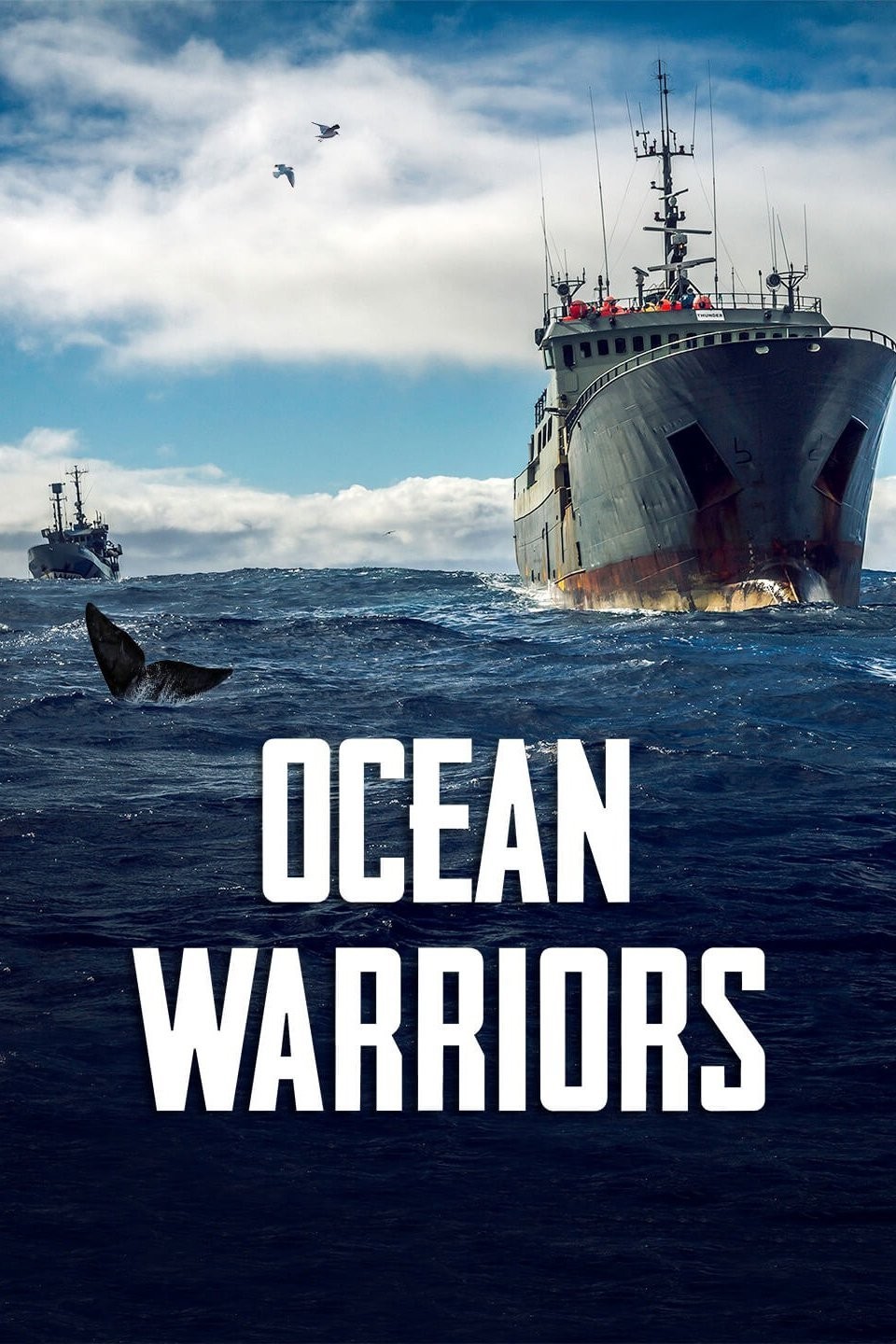 Ocean Warriors Season 1 | Rotten Tomatoes