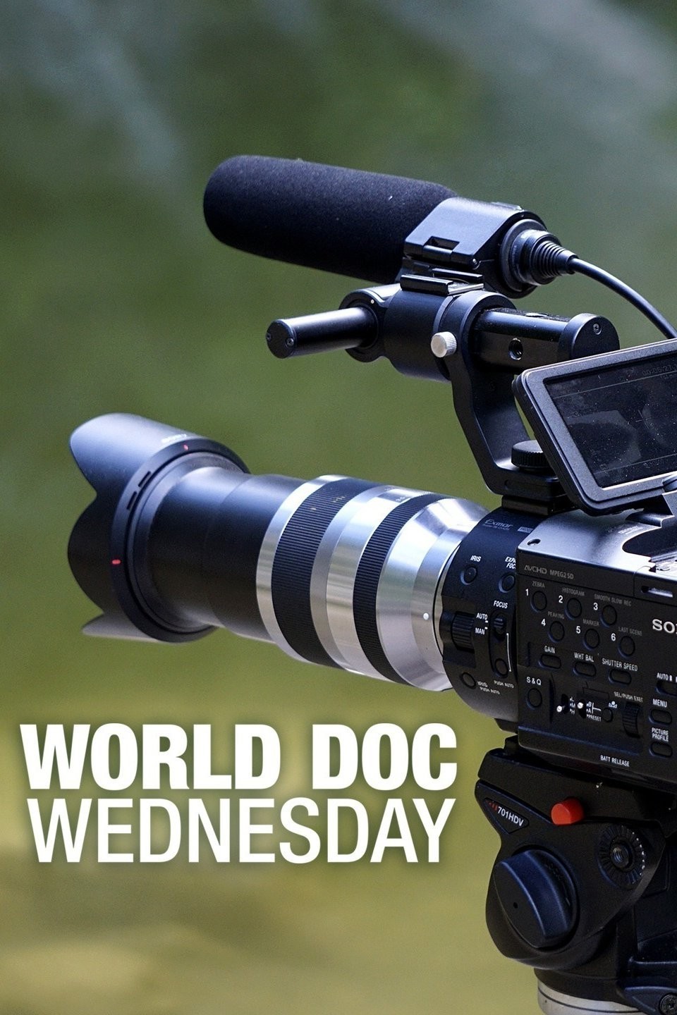 World Doc Wednesday Season 1 | Rotten Tomatoes