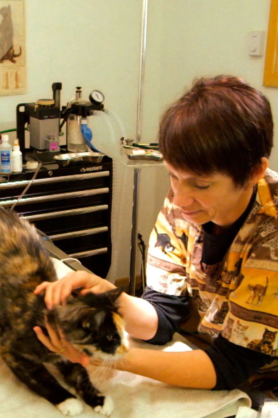 The Great Cat Corral Pictures | Rotten Tomatoes