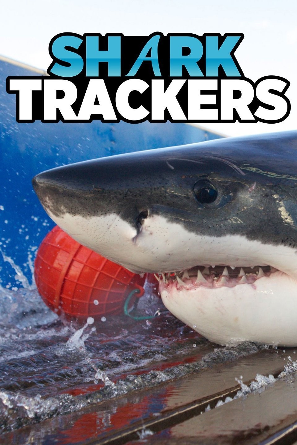 Shark Trackers | Rotten Tomatoes