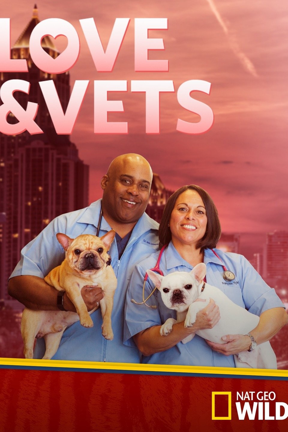 Love & Vets Pictures | Rotten Tomatoes