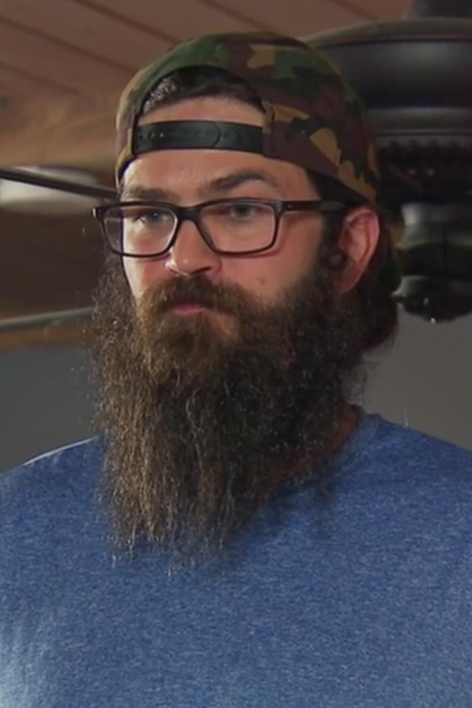 The Perfect Swarm Pictures | Rotten Tomatoes