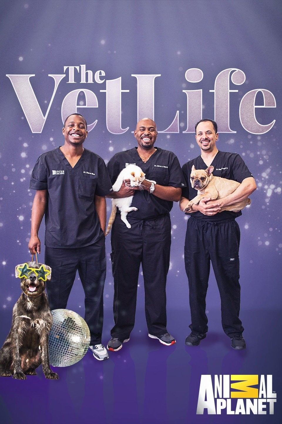 The Vet Life - Rotten Tomatoes