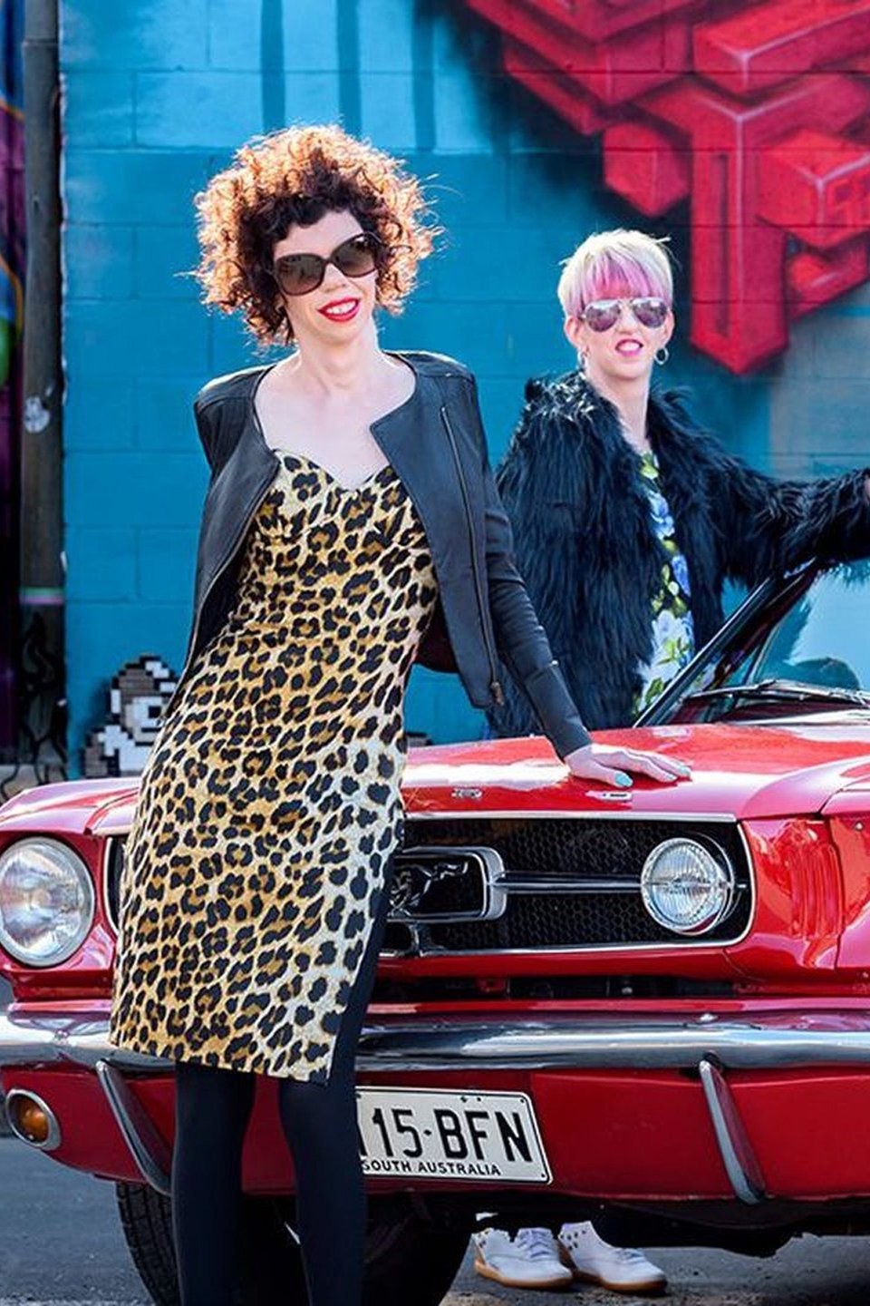 The Music Video Pictures | Rotten Tomatoes