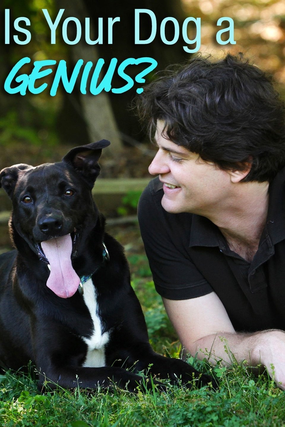 Is Your Dog a Genius? Season 2 | Rotten Tomatoes