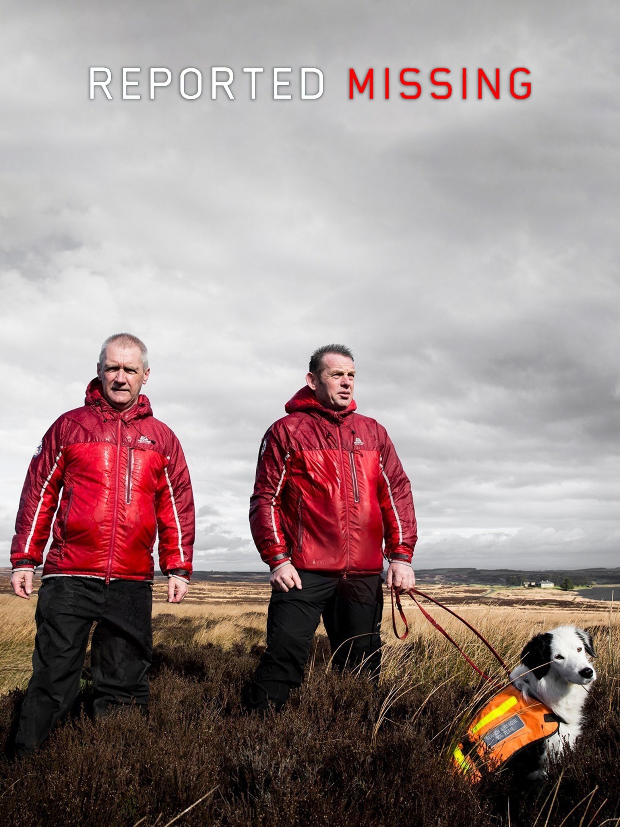 Reported Missing Season 1 | Rotten Tomatoes