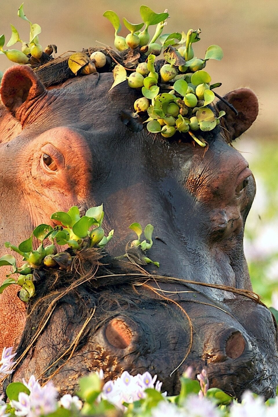 undefined Pictures | Rotten Tomatoes