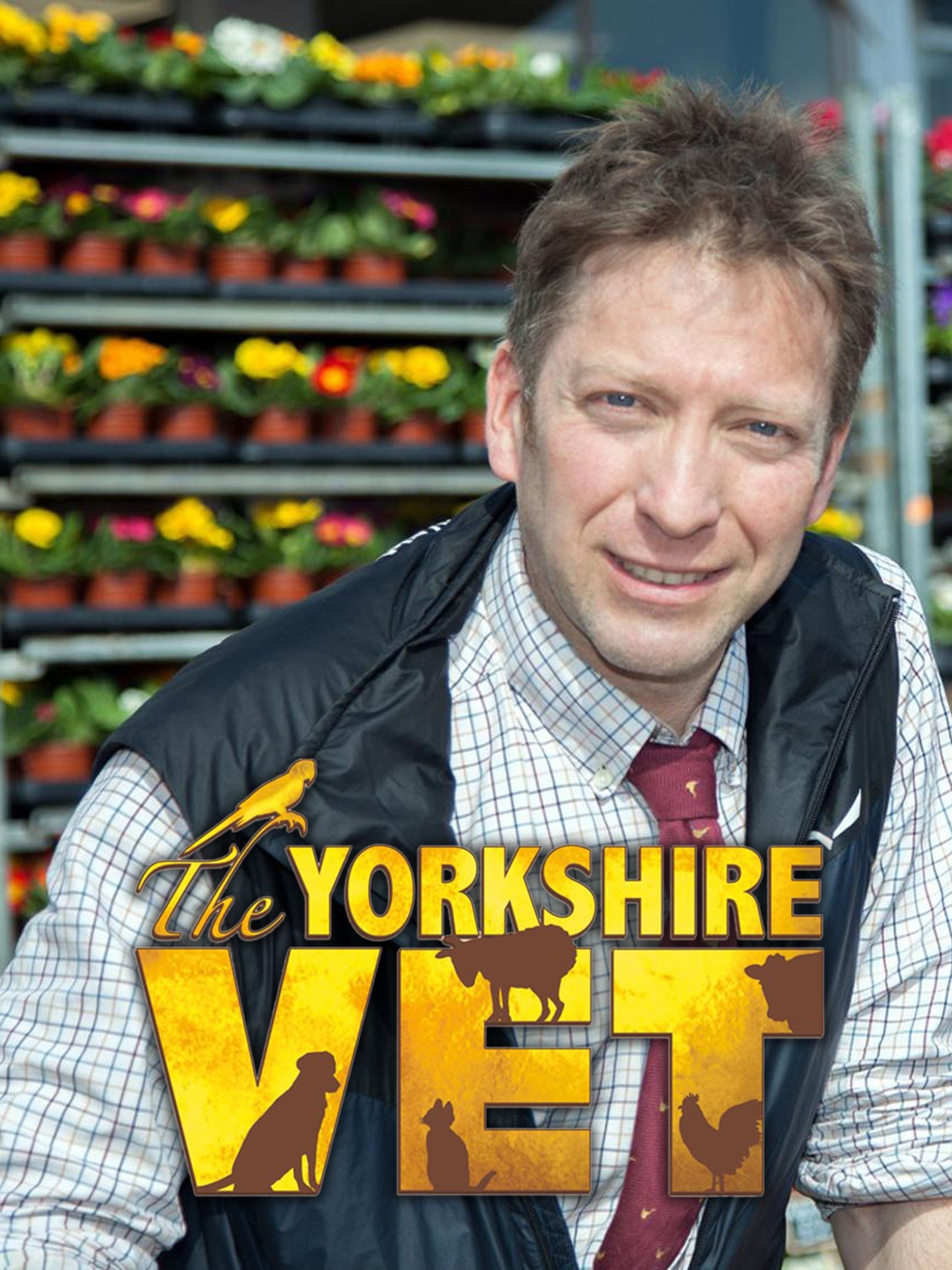 The Yorkshire Vet: Season 4 Pictures | Rotten Tomatoes