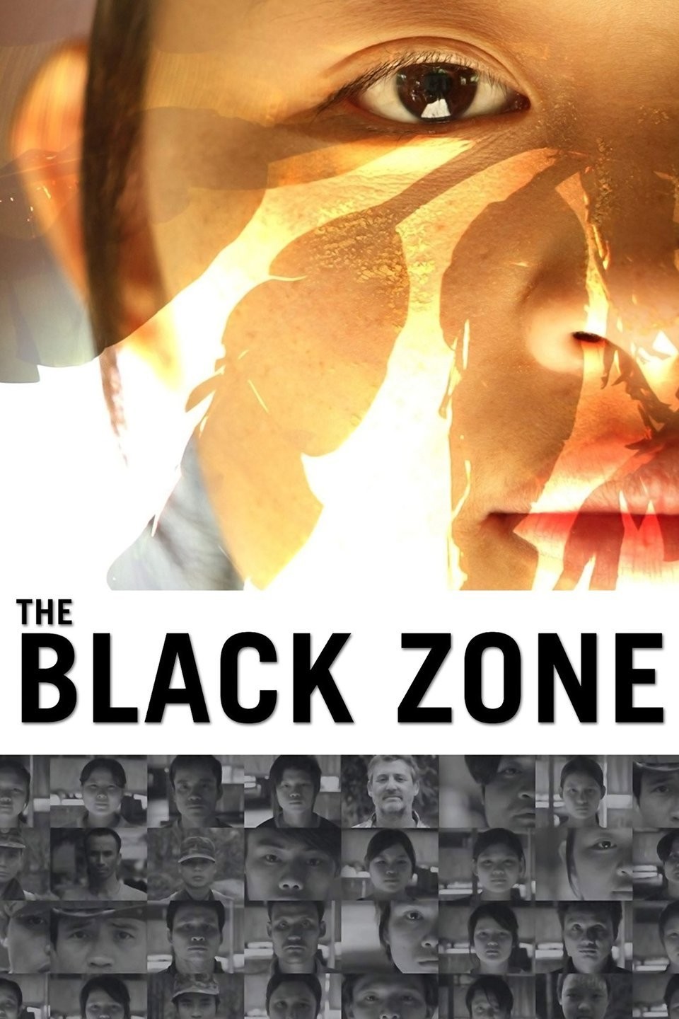 The Black Zone Pictures | Rotten Tomatoes
