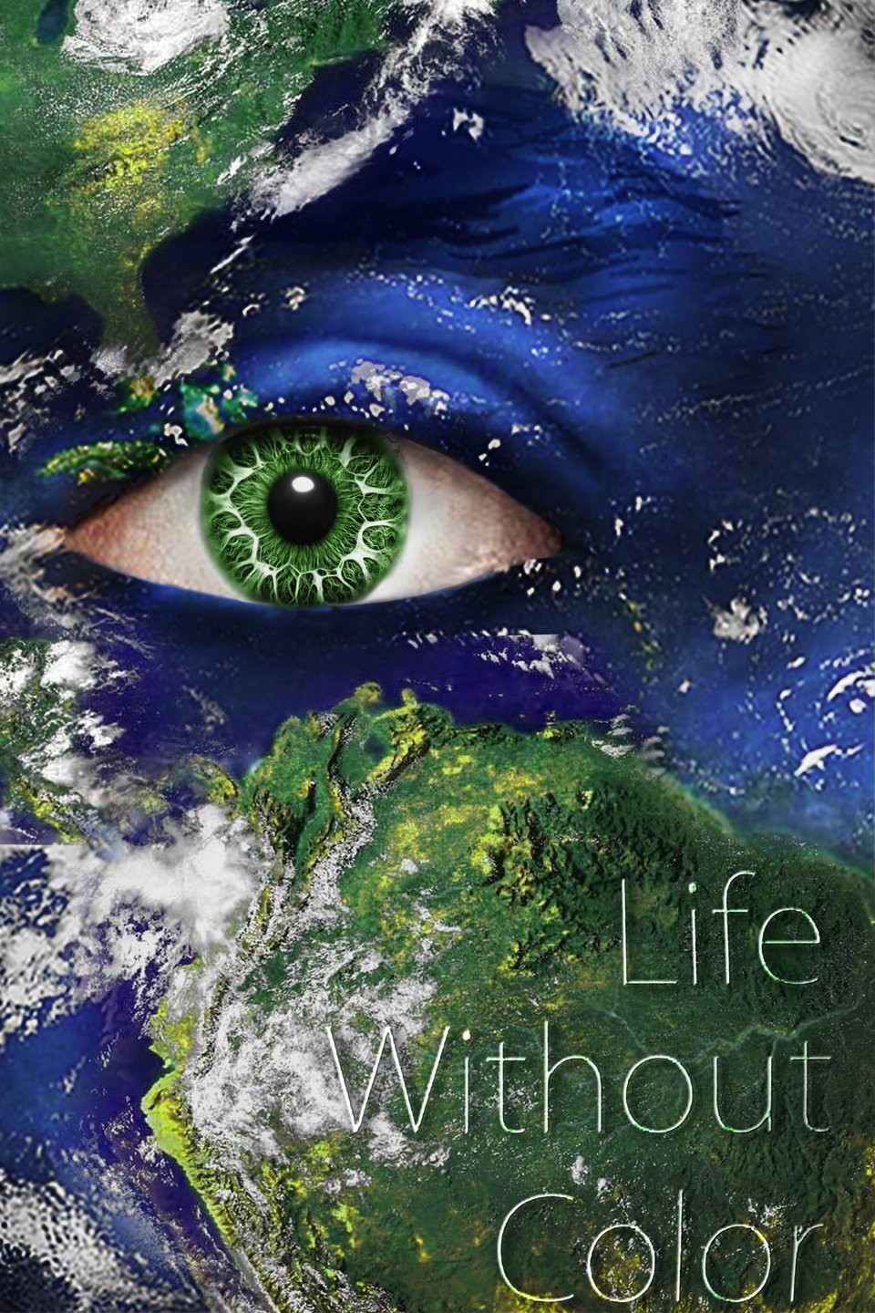 Life Without Color | Rotten Tomatoes