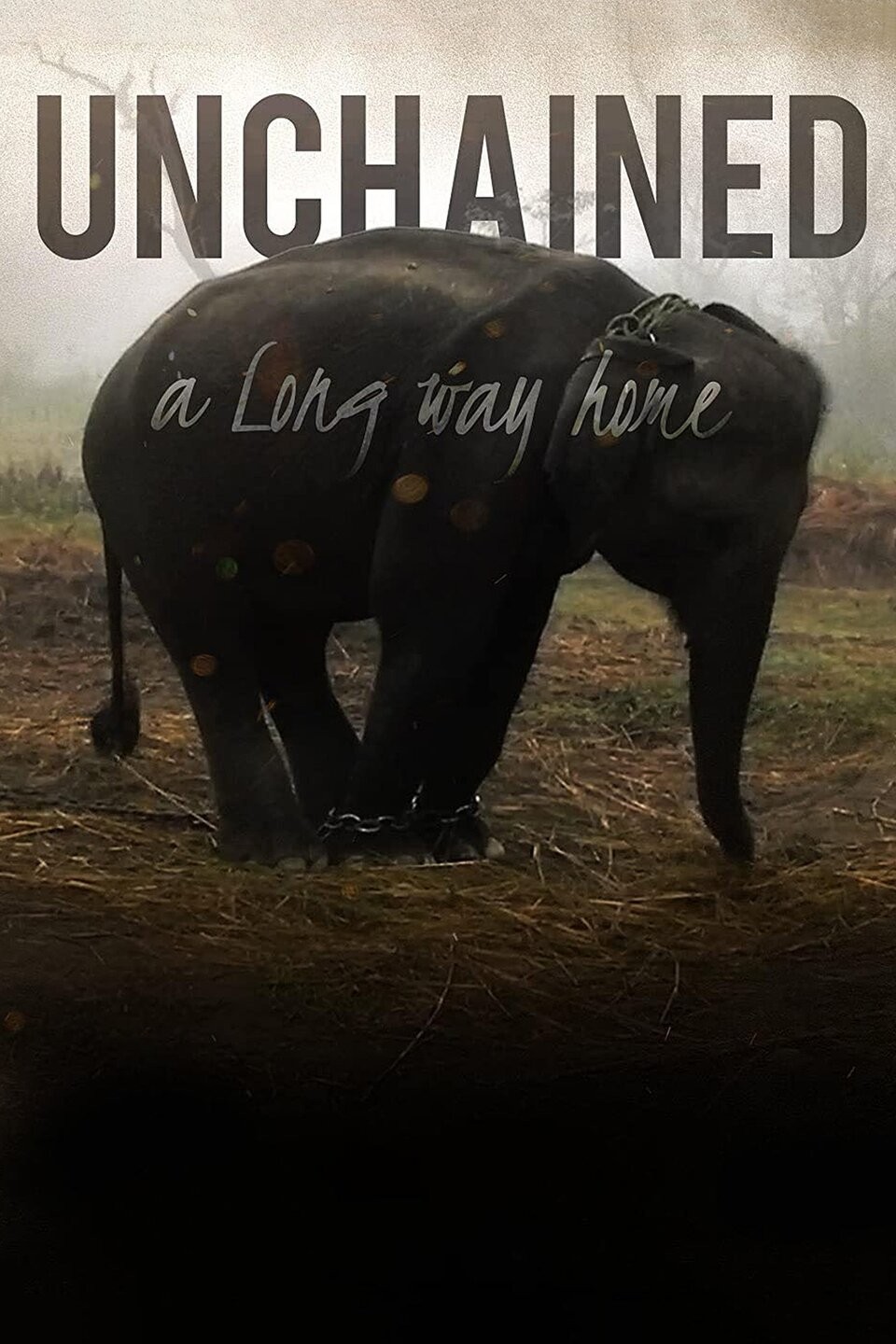 Unchained | Rotten Tomatoes