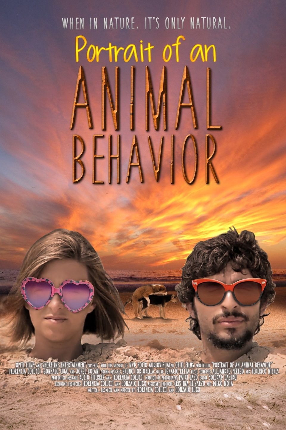 Portraits of Animal Behavior | Rotten Tomatoes