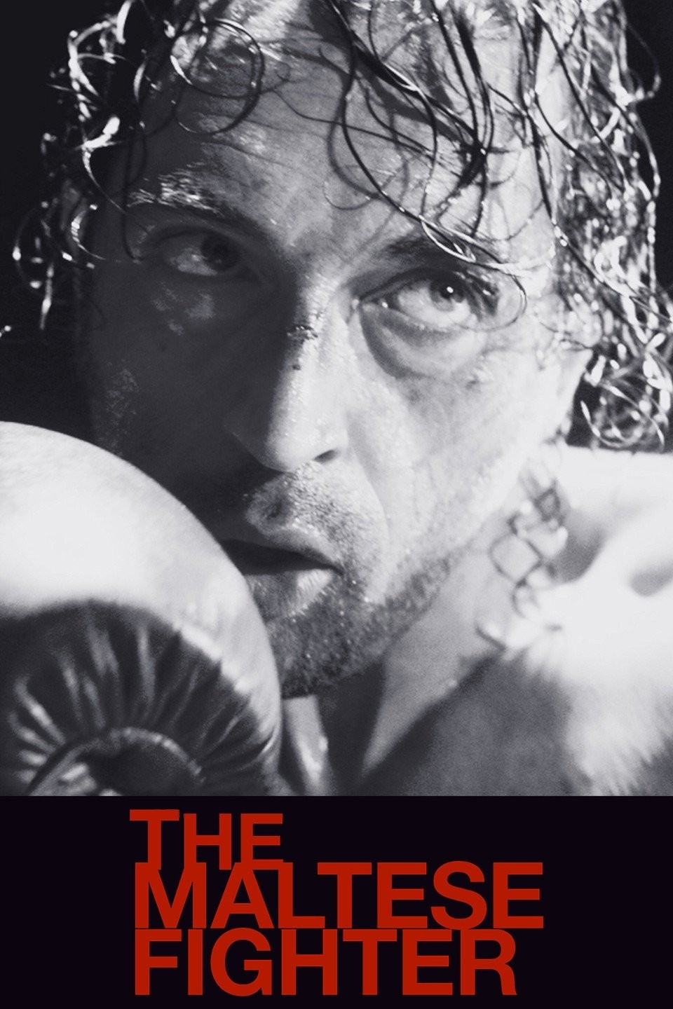 The Maltese Fighter Pictures | Rotten Tomatoes