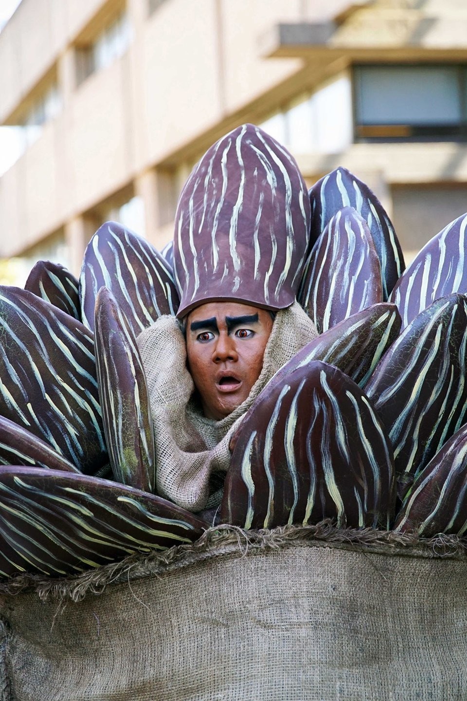 Clash! Ronny vs Instructions! Obey? Pictures - Rotten Tomatoes