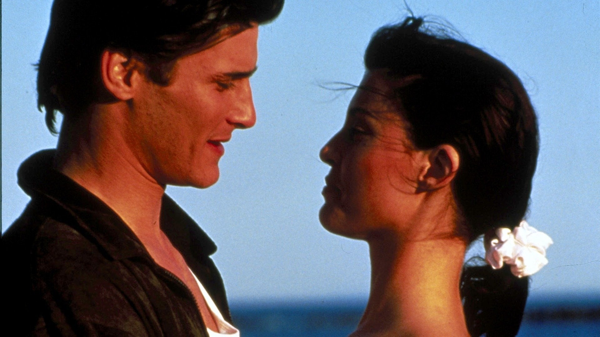 Krista Shook's Instagram, Twitter & Facebook on IDCrawl