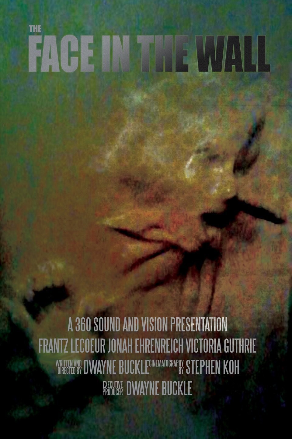 The Face in the Wall | Rotten Tomatoes