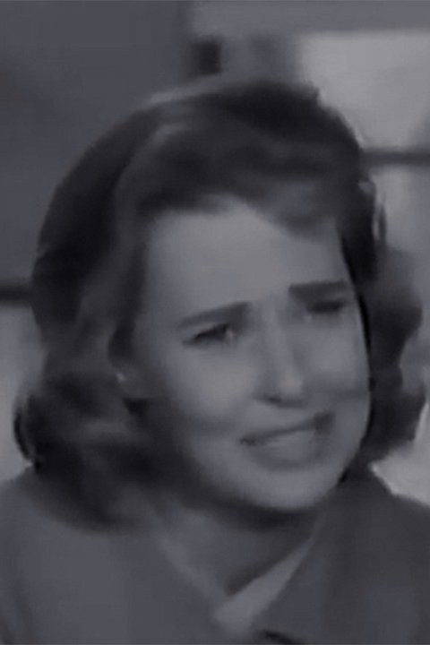 Dear George, the Siamese Cat Is Missing Pictures | Rotten Tomatoes