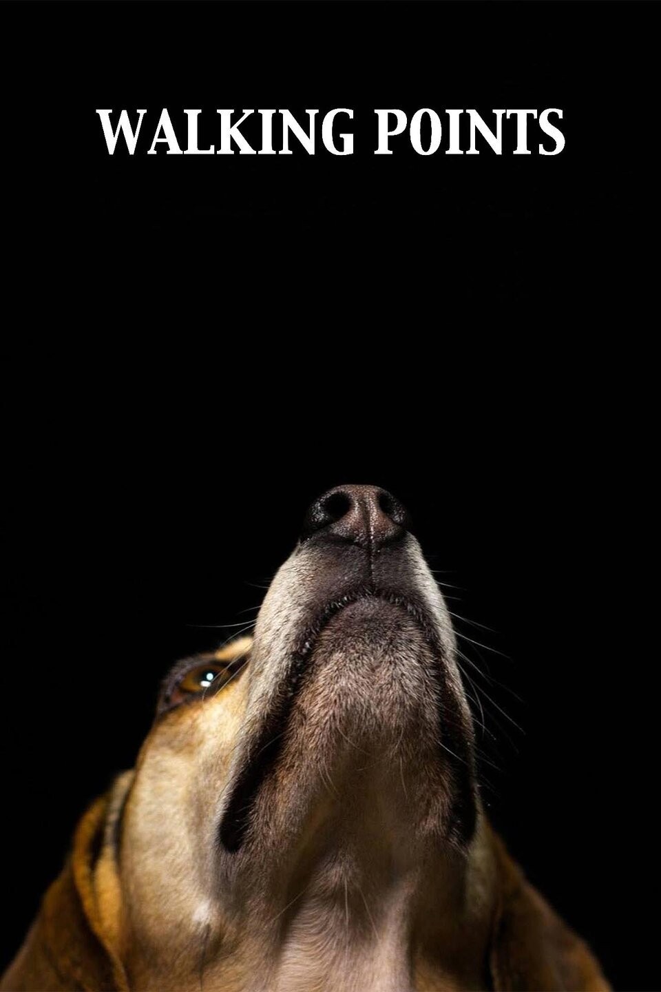 Walking Points | Rotten Tomatoes