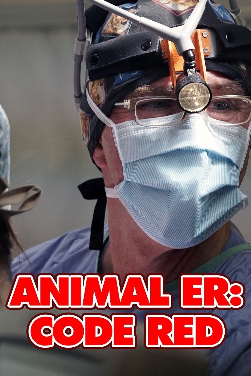 Animal ER: Code Red Season 1 | Rotten Tomatoes