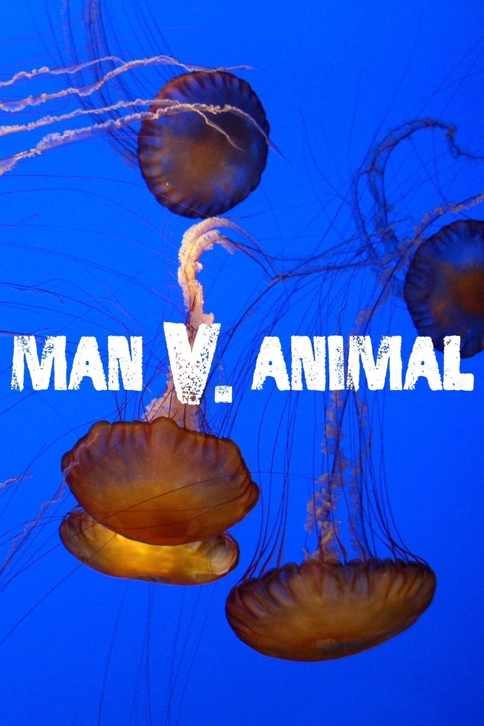Man v. Animal Season 1 | Rotten Tomatoes