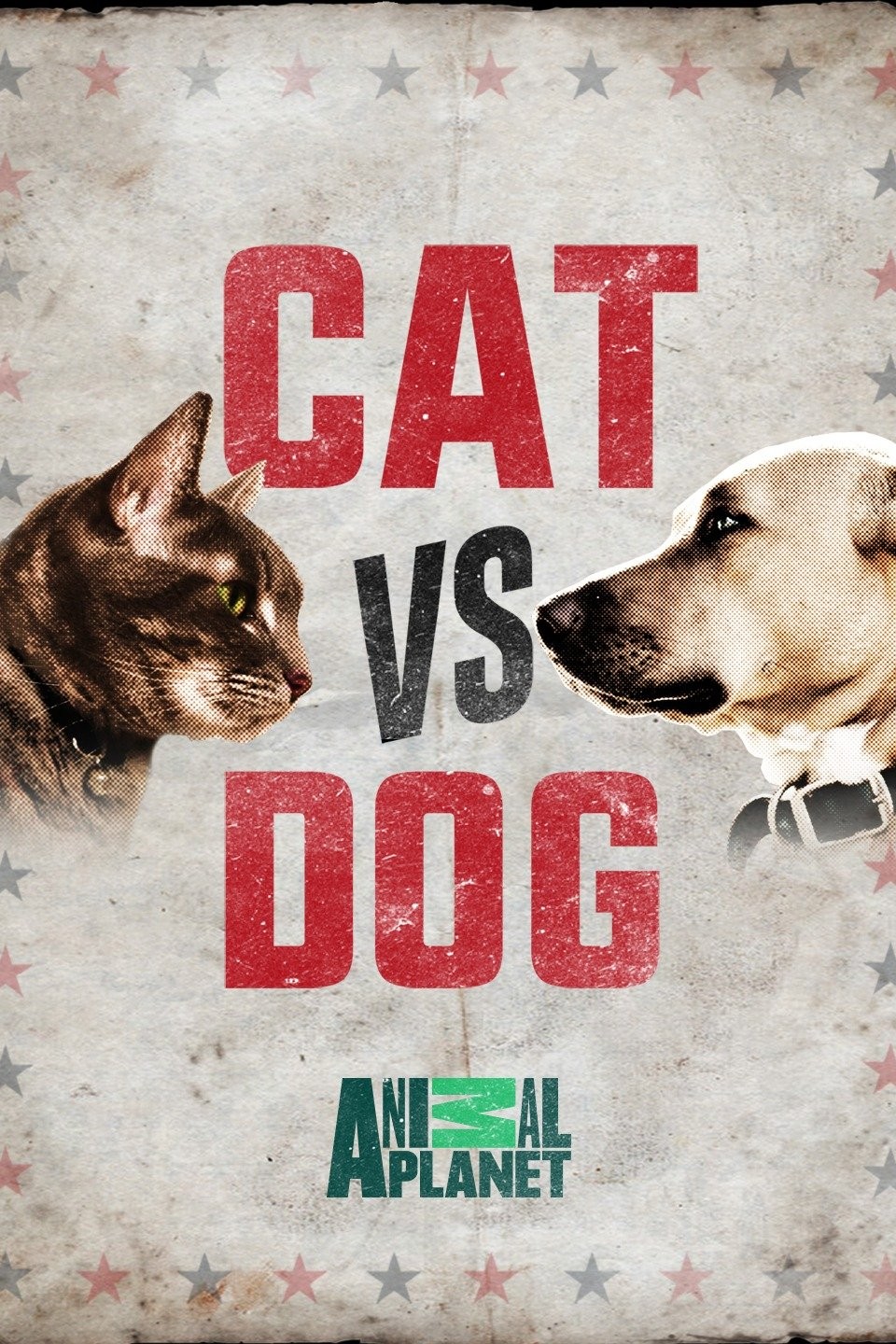 Cat vs. Dog | Rotten Tomatoes