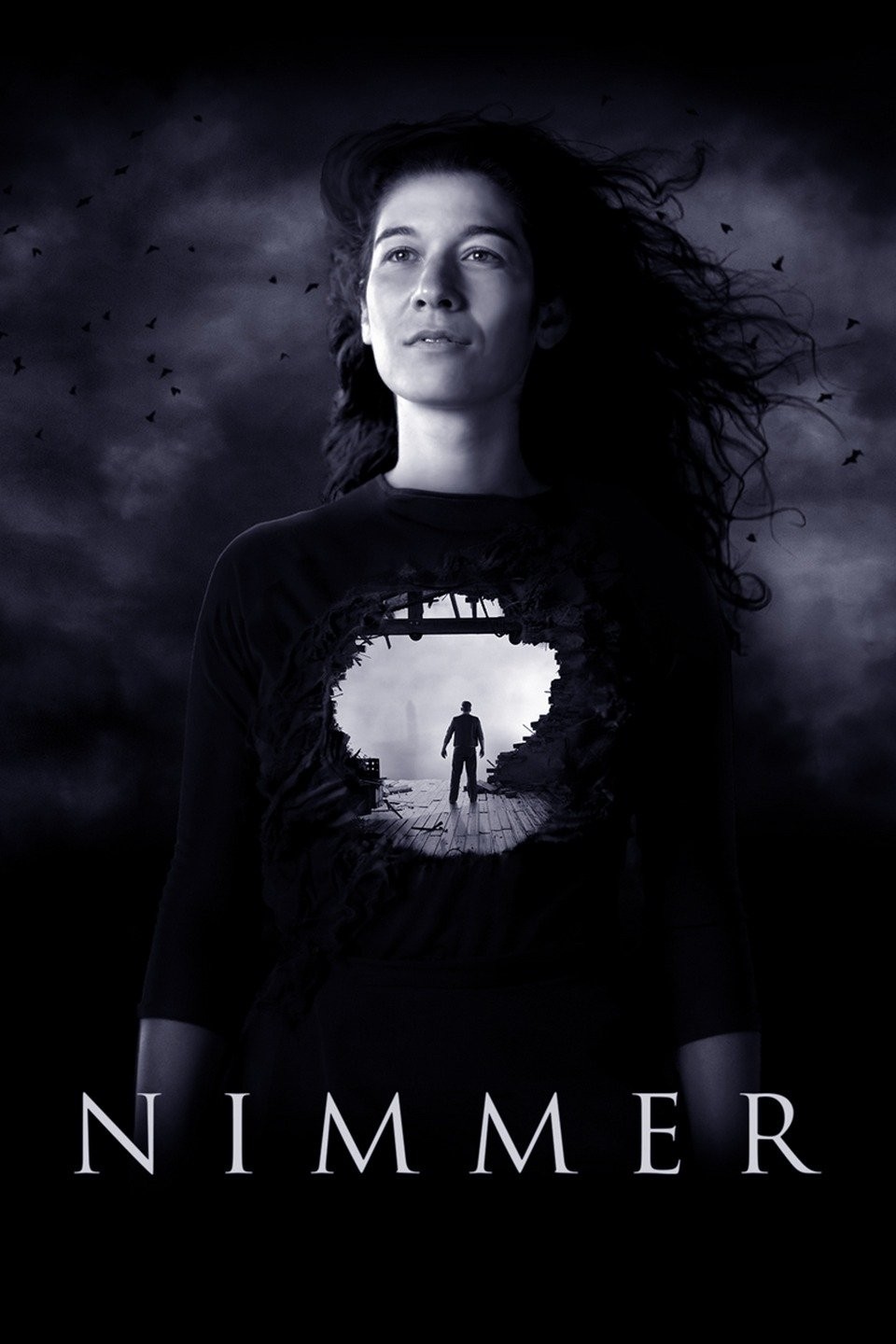 Nimmer Pictures | Rotten Tomatoes