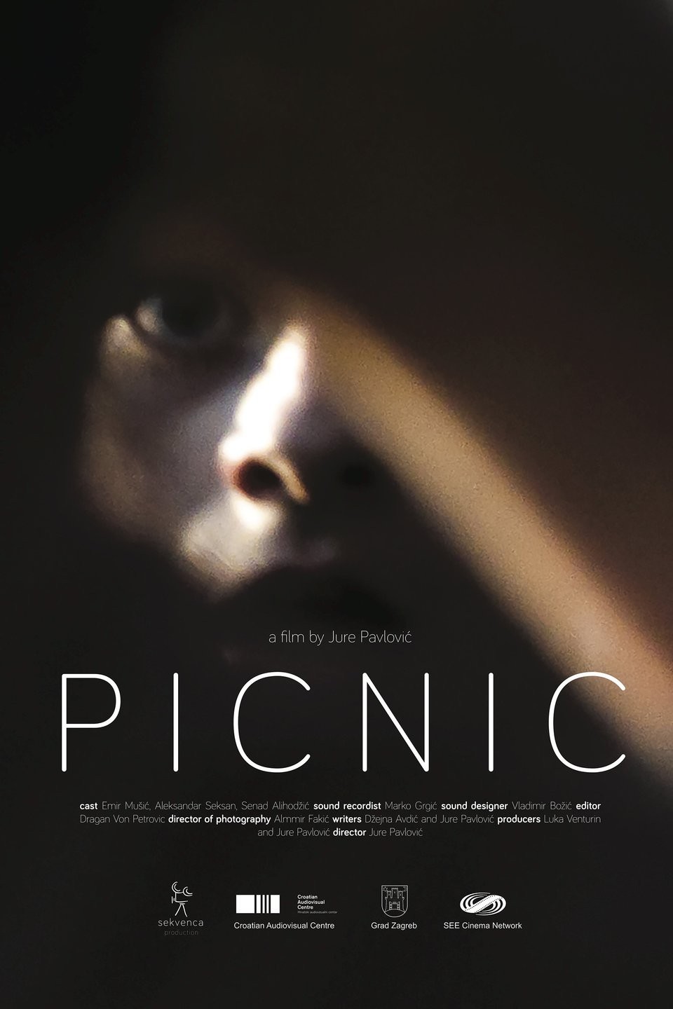 Picnic | Rotten Tomatoes