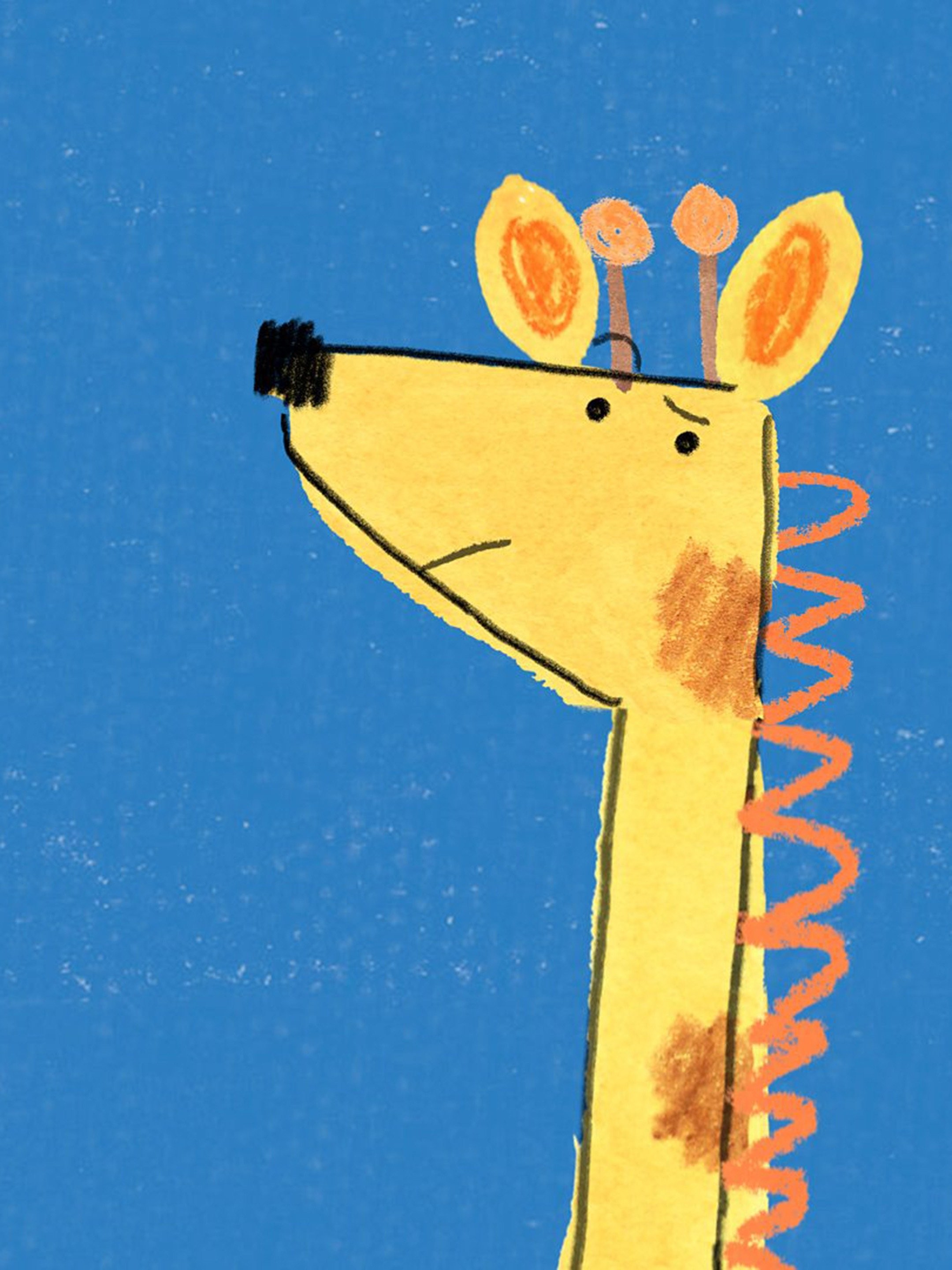 Zoom! Zoom! Zoom! Pictures | Rotten Tomatoes