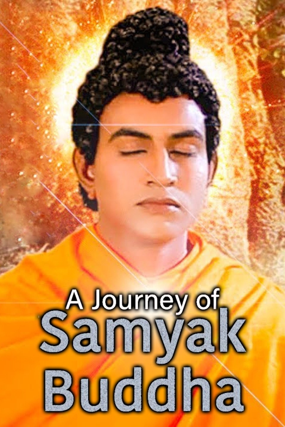 A Journey Of Samyak - Buddha | Rotten Tomatoes