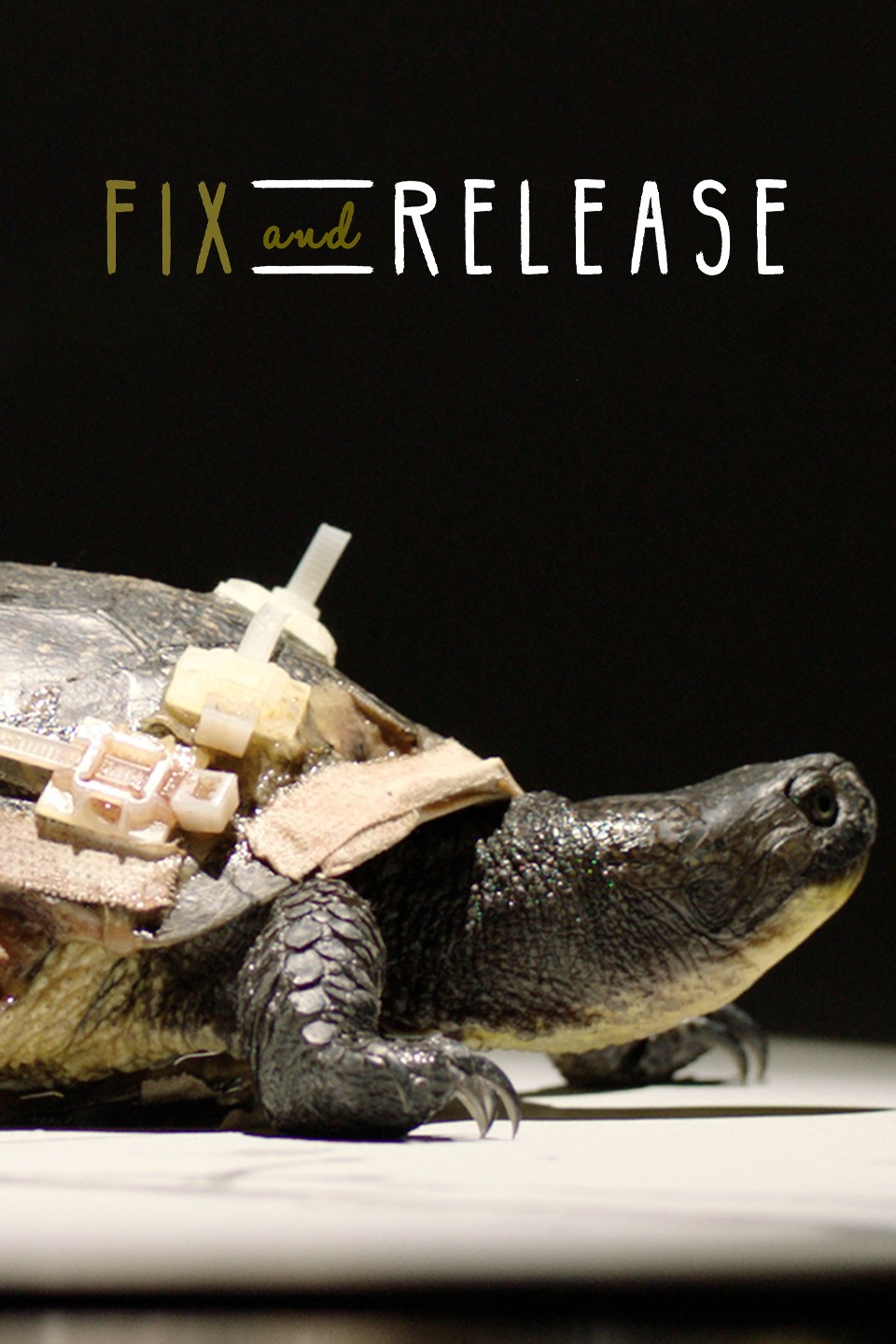 Fix & Release | Rotten Tomatoes