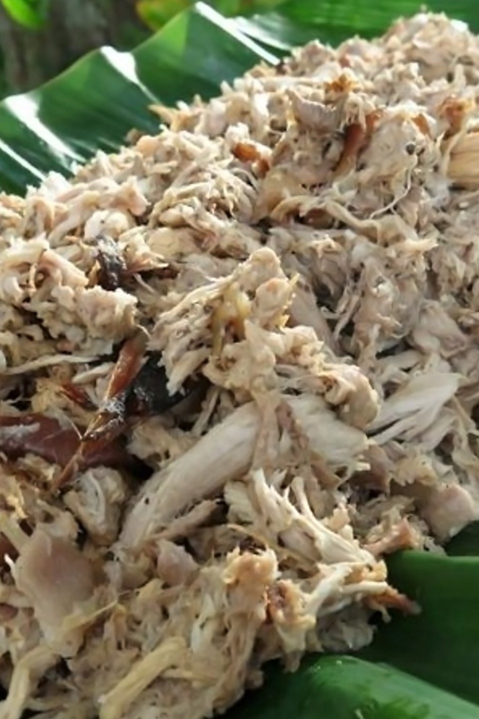 Pig Out Pictures | Rotten Tomatoes