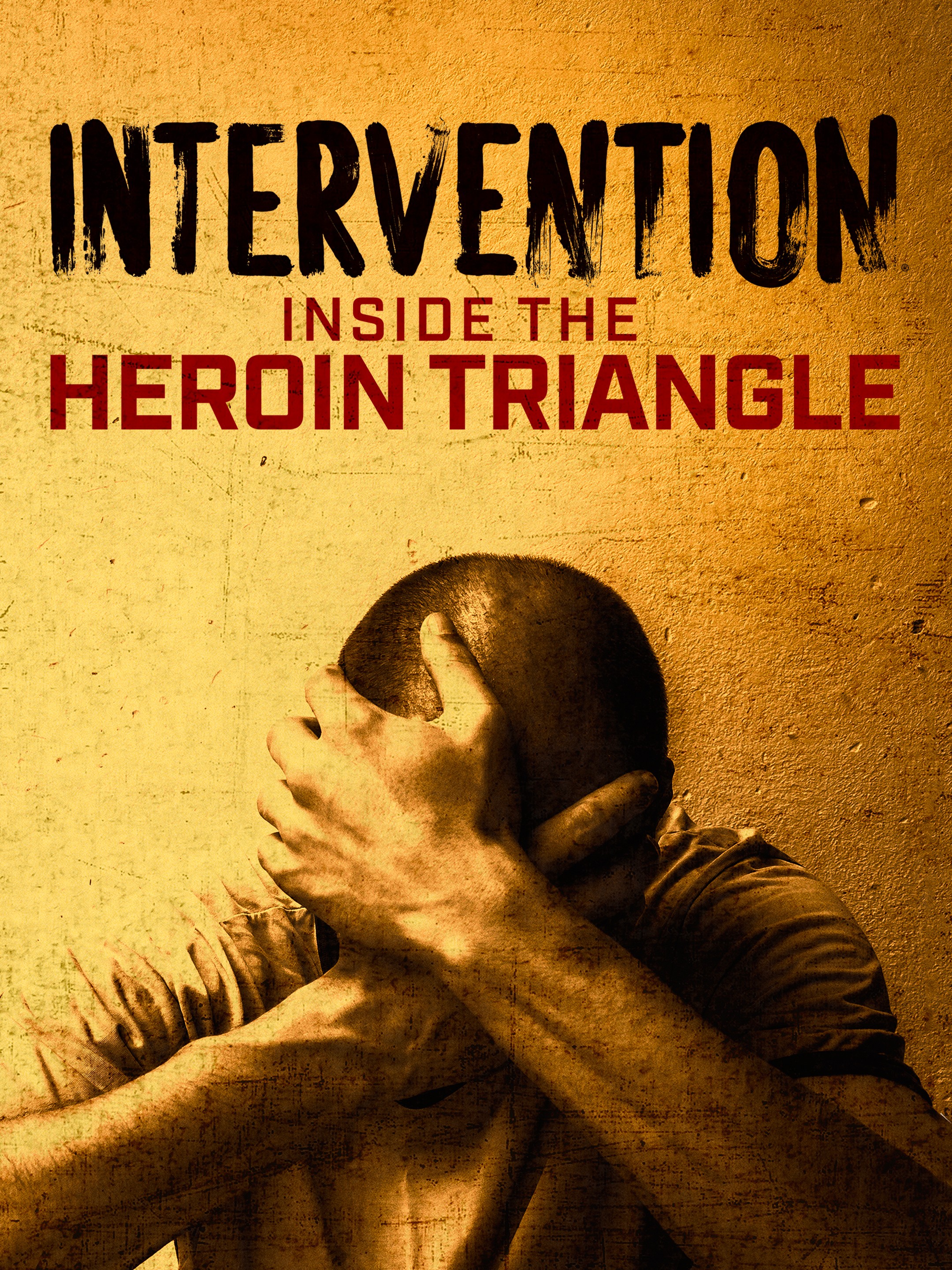 Intervention: Inside the Heroin Triangle Pictures | Rotten Tomatoes