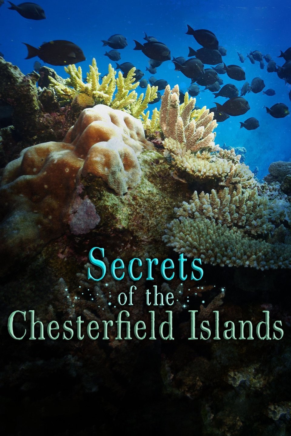 Secrets of the Chesterfield Islands | Rotten Tomatoes