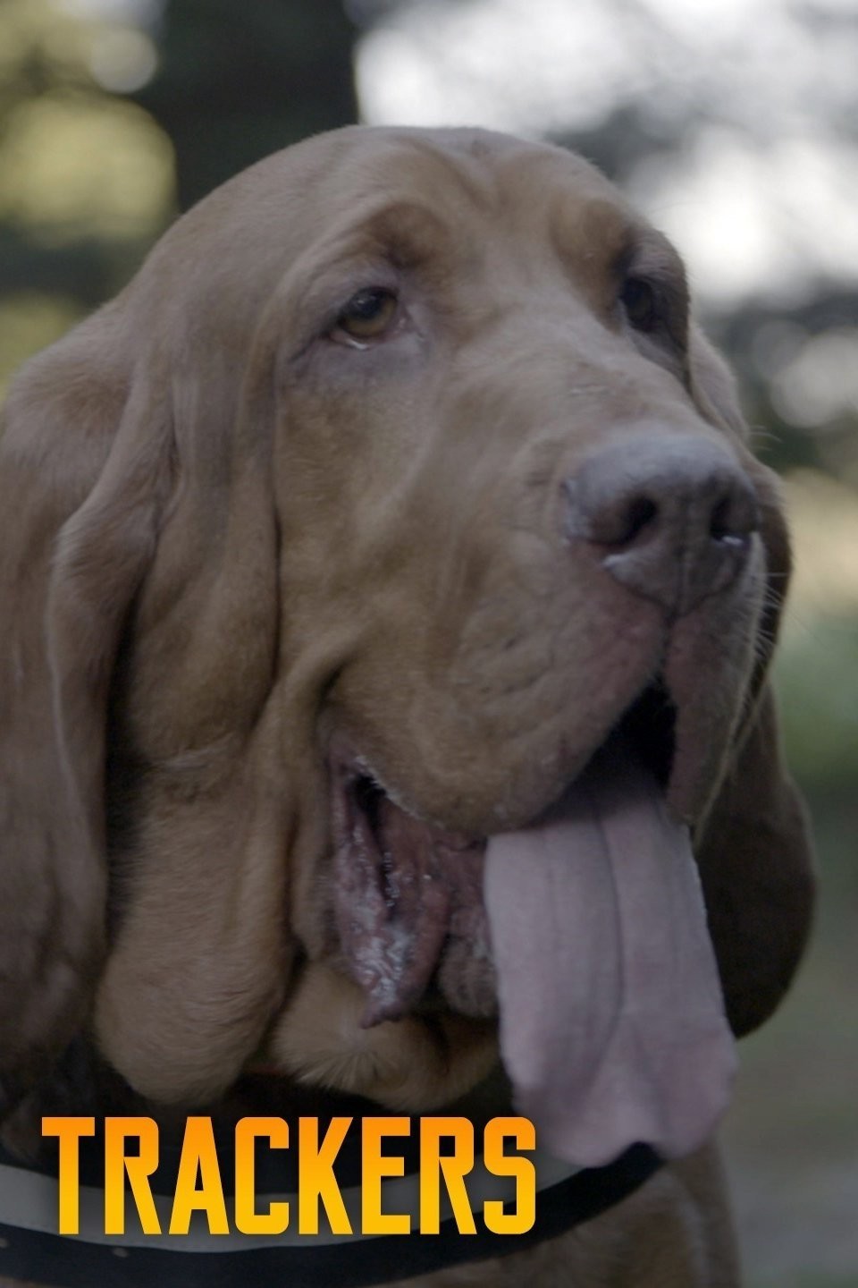 Trackers Season 1 | Rotten Tomatoes