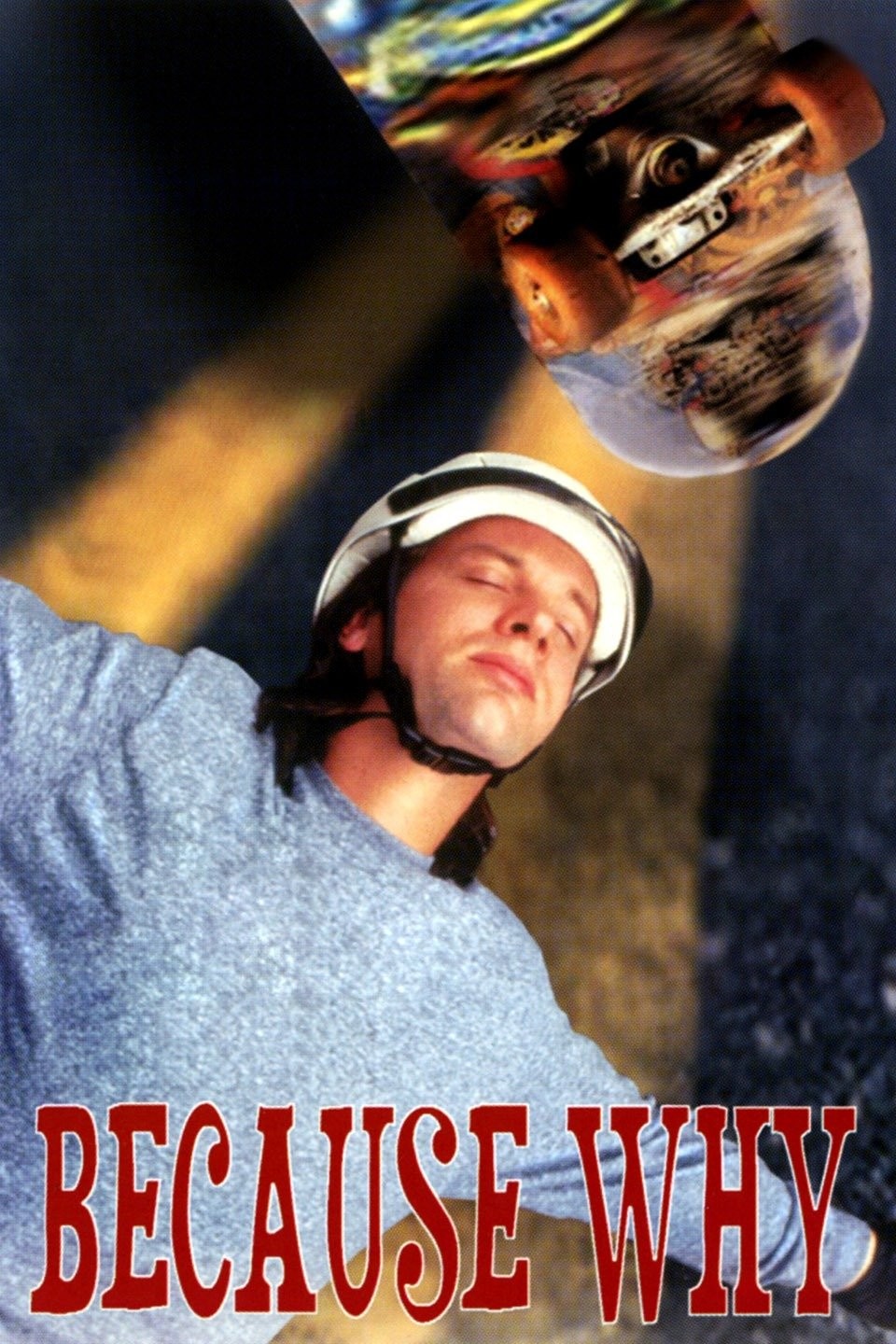 Because Why Pictures | Rotten Tomatoes