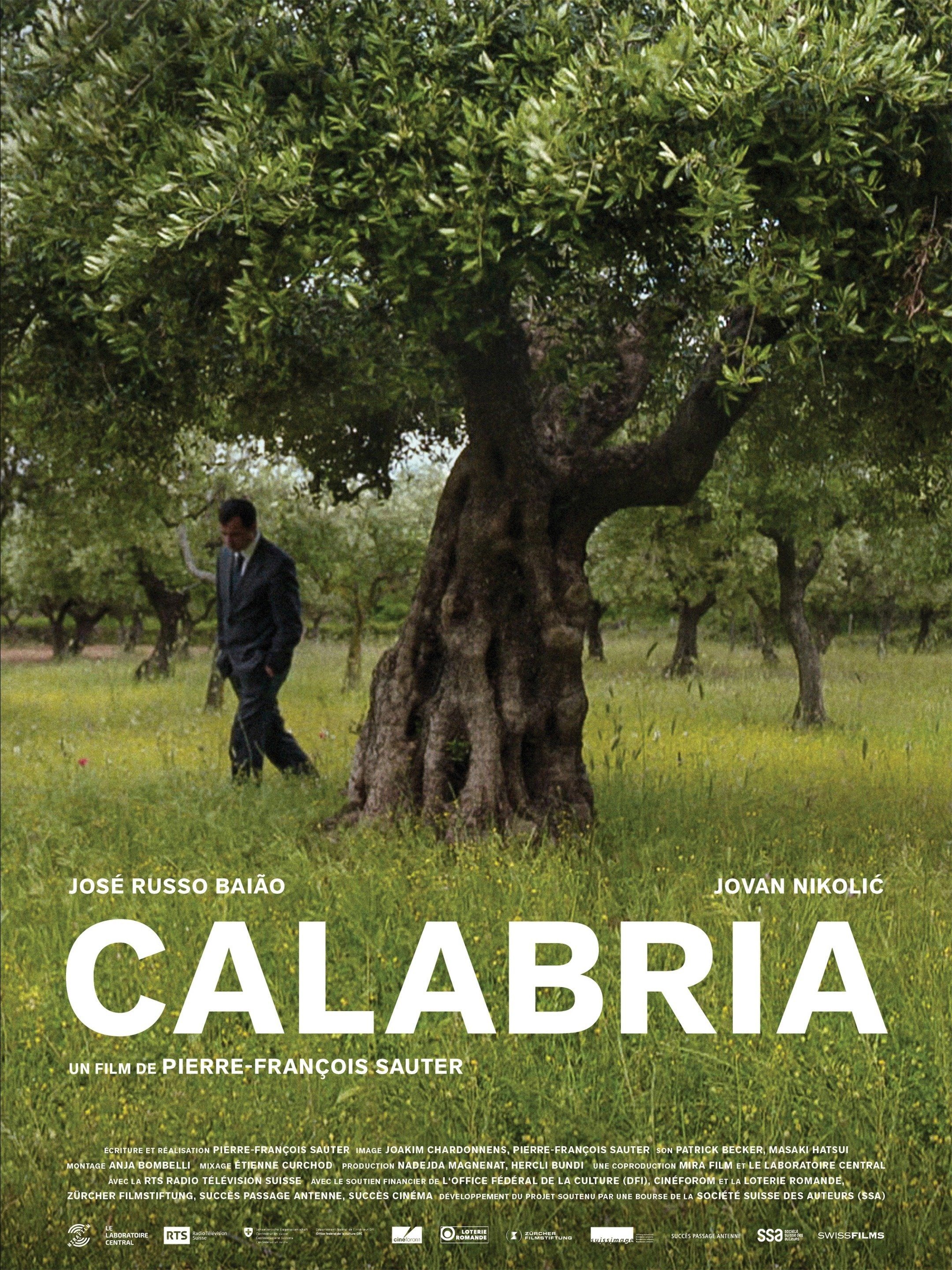 Calabria | Rotten Tomatoes