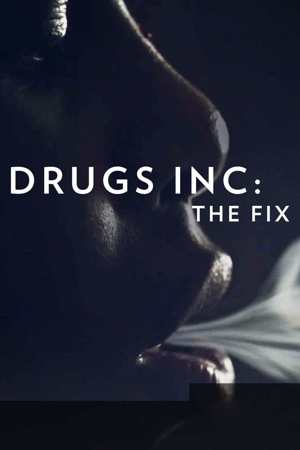 Drugs, Inc.: The Fix: Season 1 Pictures | Rotten Tomatoes