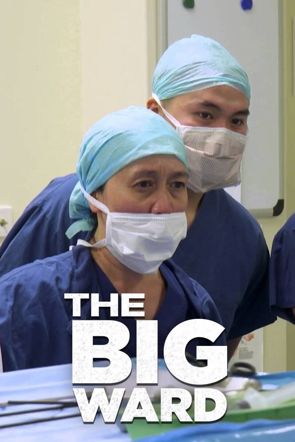 The Big Ward - Rotten Tomatoes