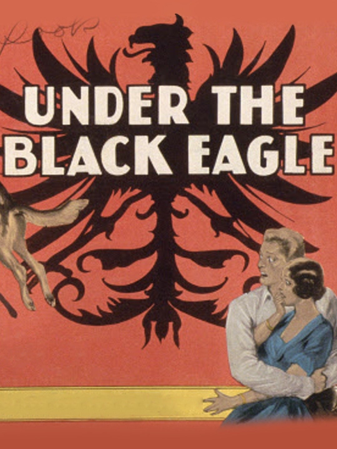 Under the Black Eagle Pictures | Rotten Tomatoes