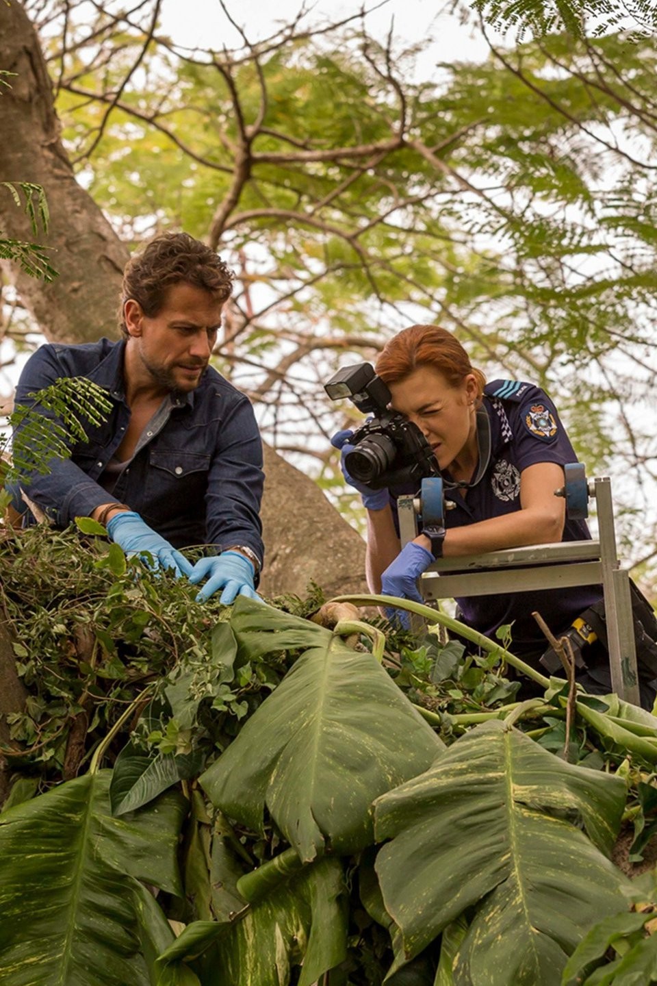 Finis Vitae Sed Non Amoris Pictures | Rotten Tomatoes