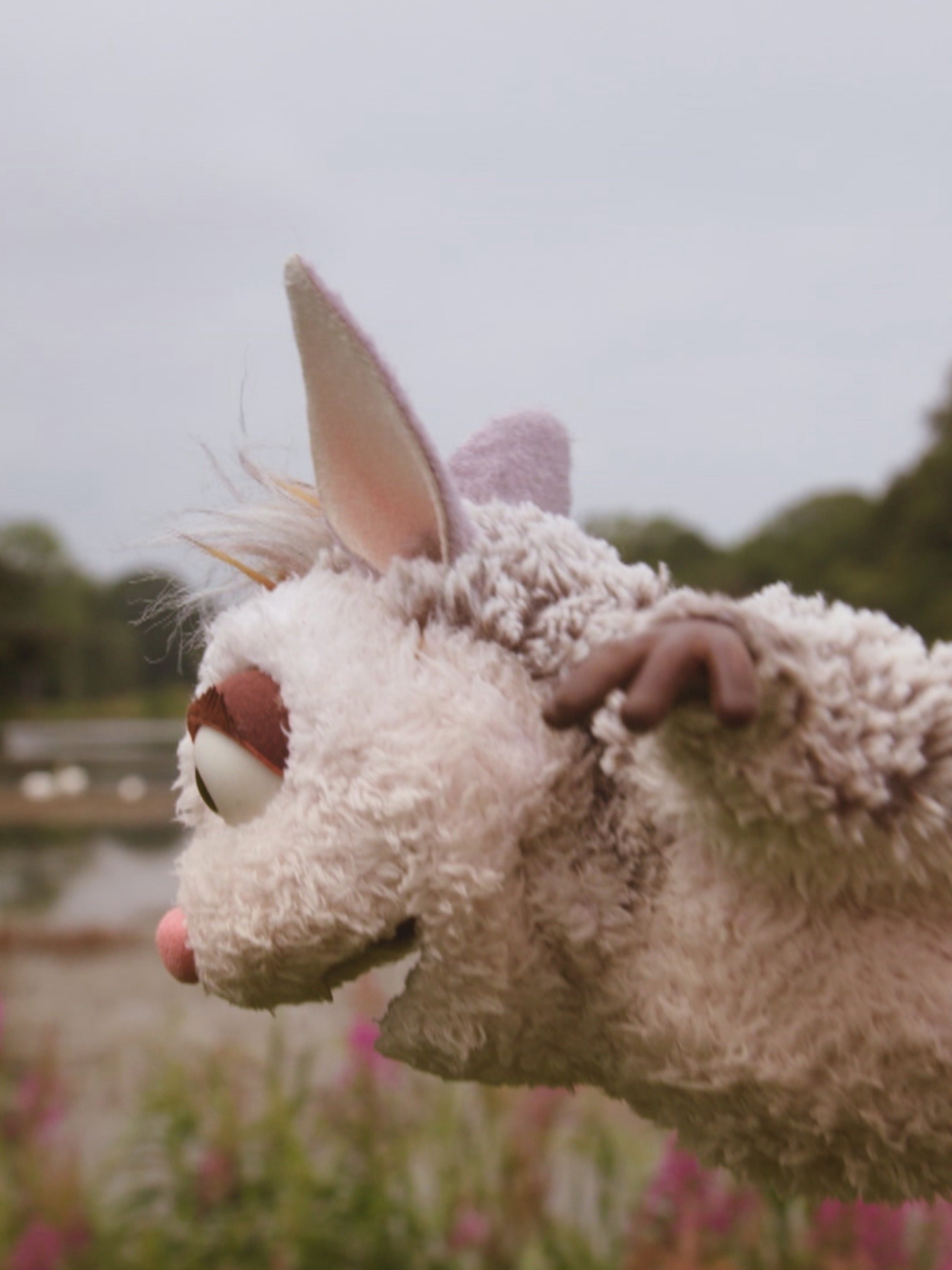 Flight Pictures | Rotten Tomatoes