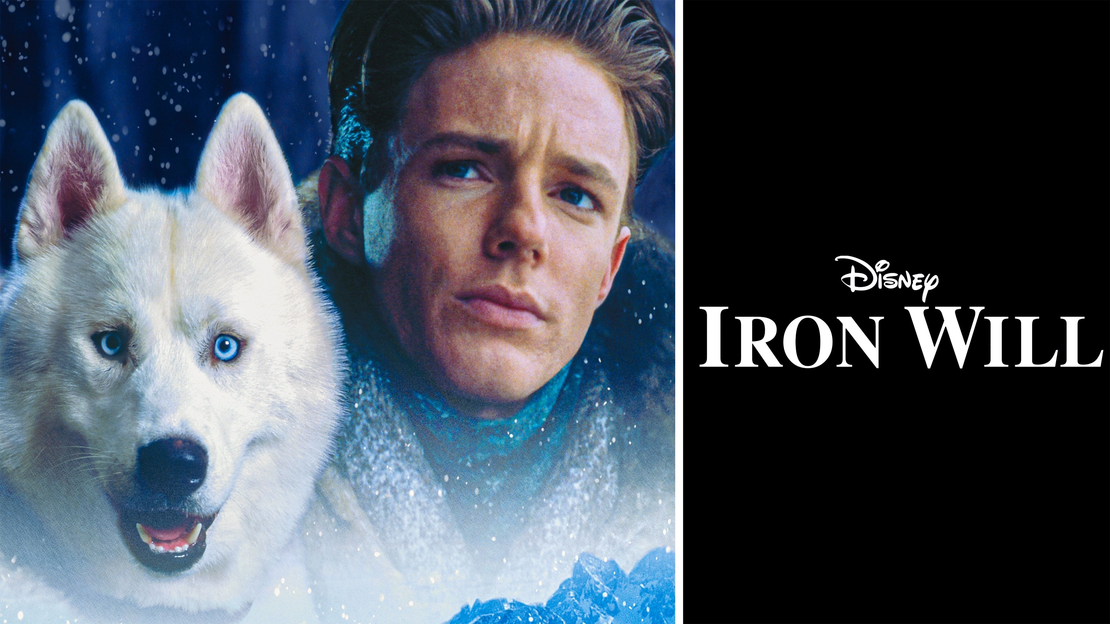 August Schellenberg Iron Will