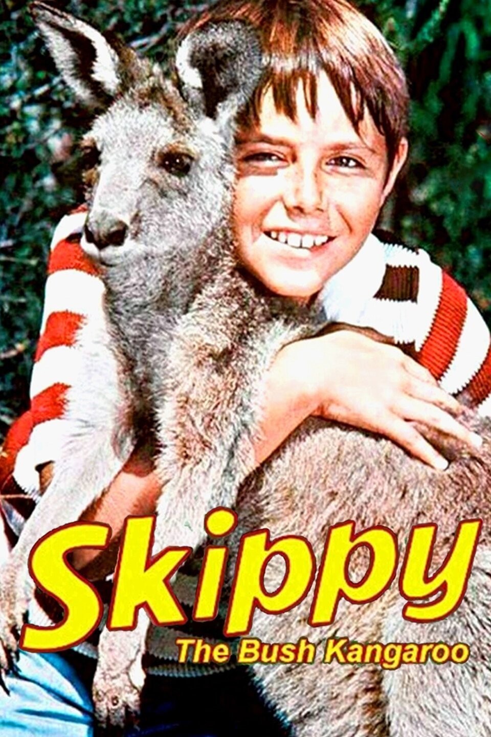 Skippy: Season 2 Pictures | Rotten Tomatoes