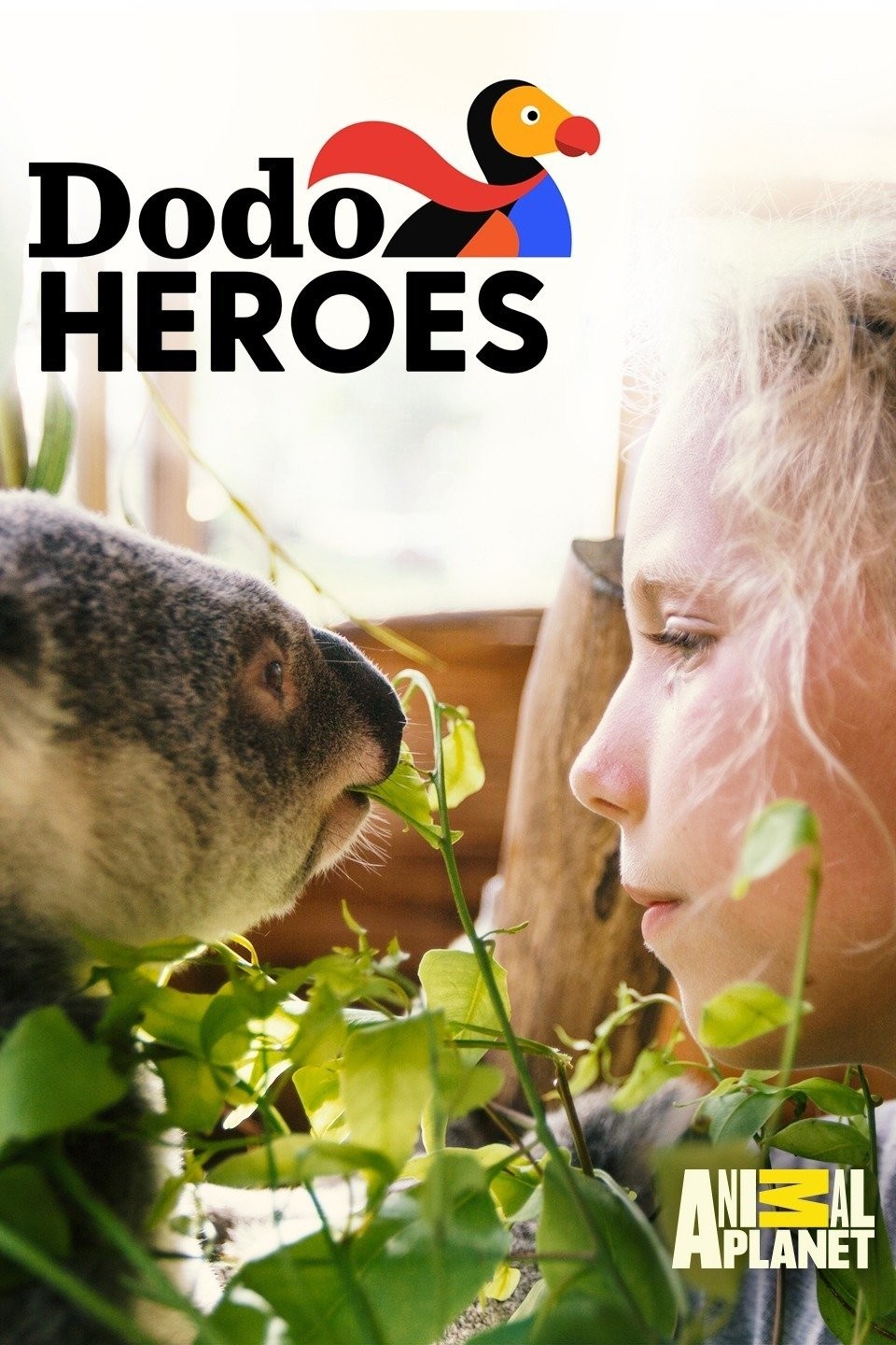 Dodo Heroes: Season 1 Pictures | Rotten Tomatoes