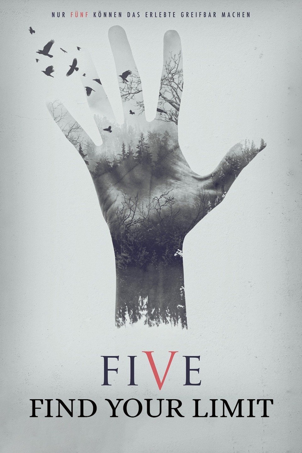 Five - Find your Limit Pictures | Rotten Tomatoes