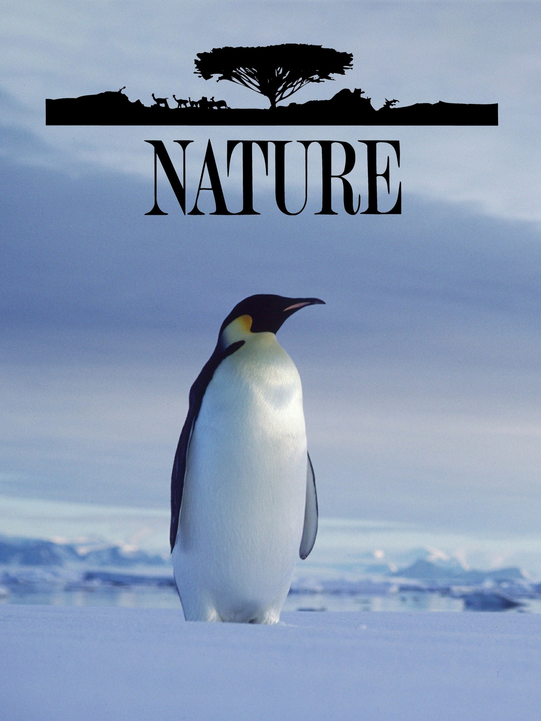 Nature: Season 6 Pictures | Rotten Tomatoes