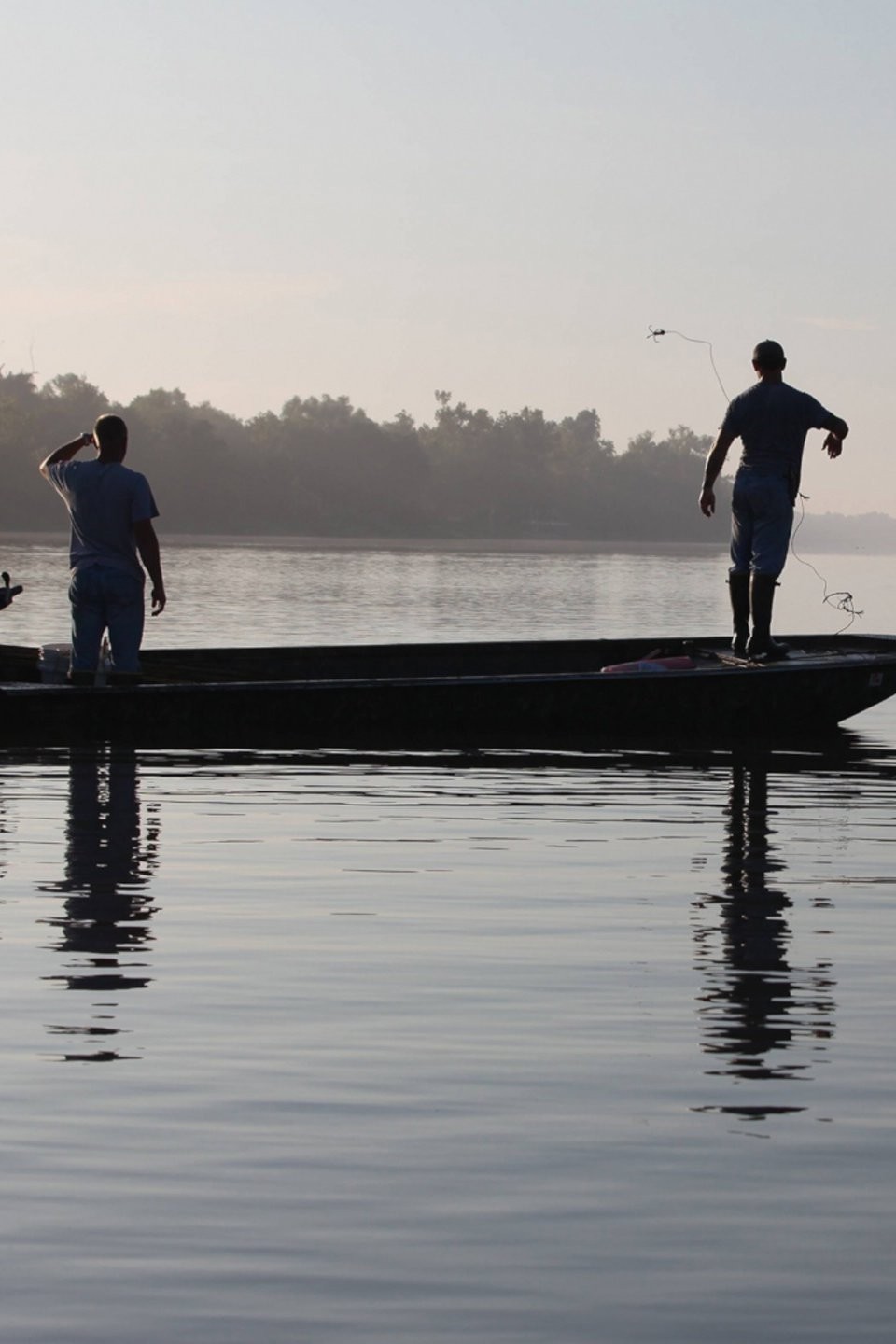 Gator vs. Python Pictures | Rotten Tomatoes