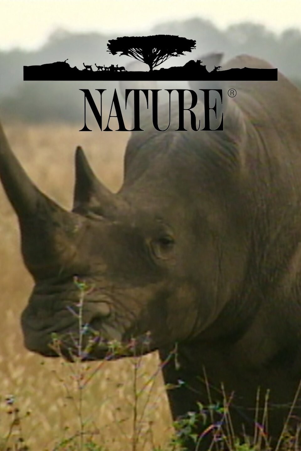 Nature Season 25 | Rotten Tomatoes