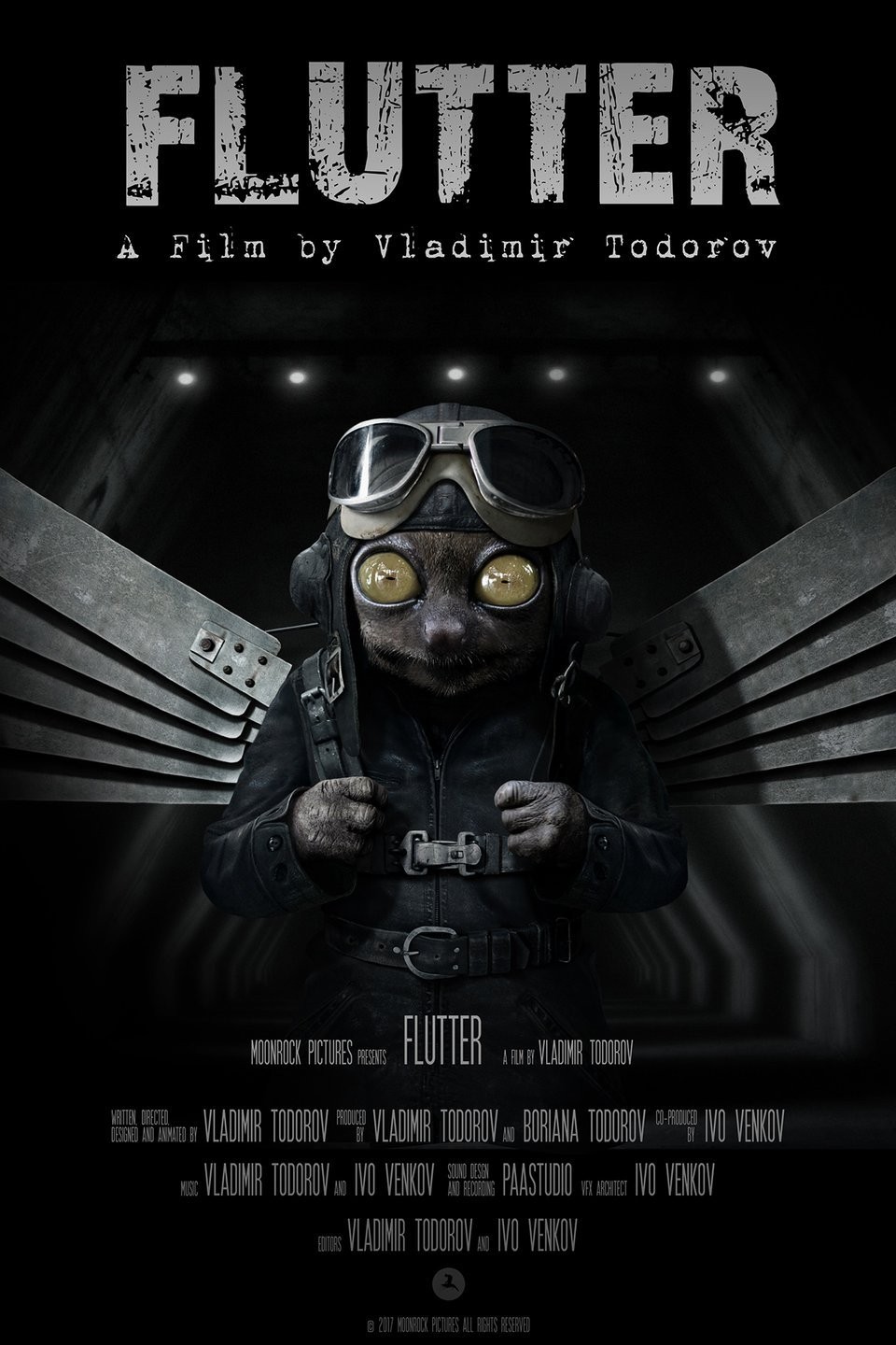 Flutter | Rotten Tomatoes